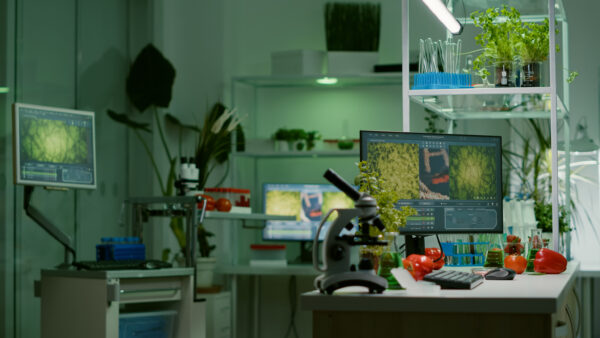 Essential Biology Laboratory Tools for Every Successful Lab