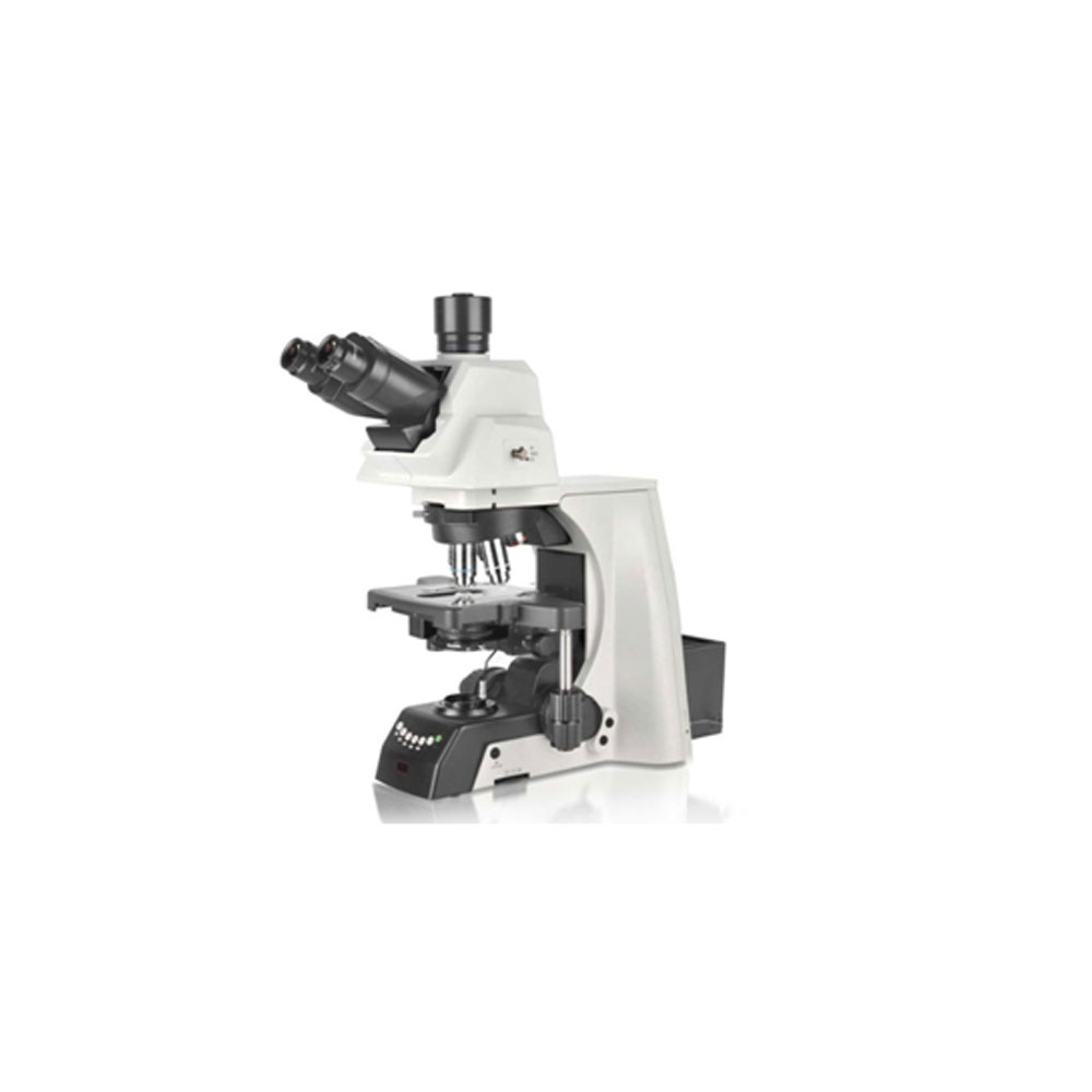 Advance Phase Contrast Microscope with Digital Camera - Supertek Edu